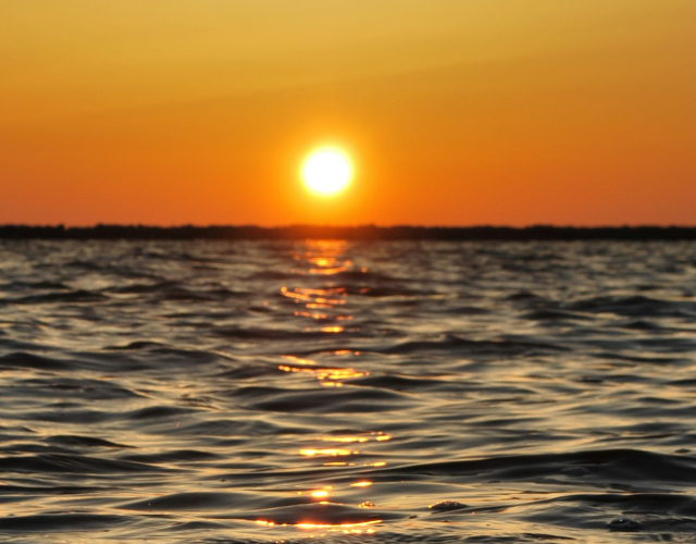 Deputyship Order Solicitors